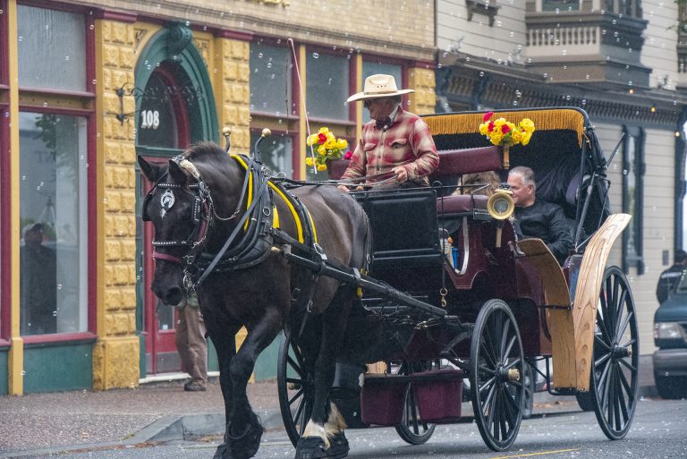 History and Architecture - Visit Eureka